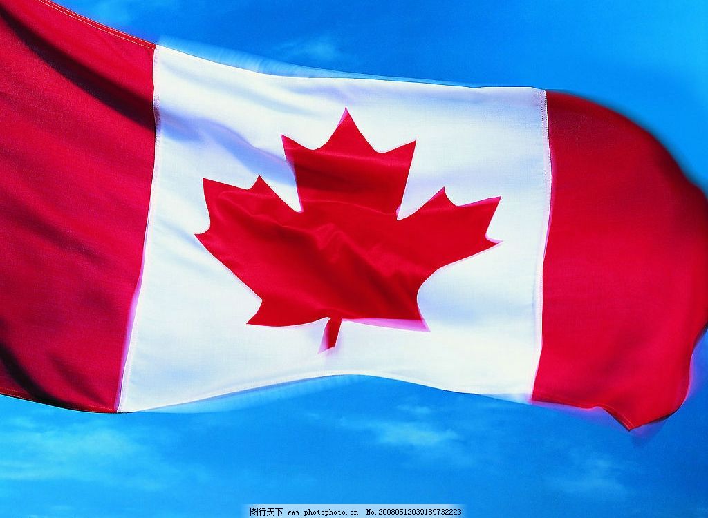 为什么加拿大国旗上画的是枫叶?